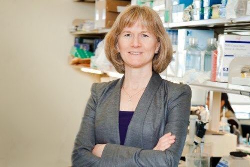 Taking Steps to Solve the Organ Transplant Crisis