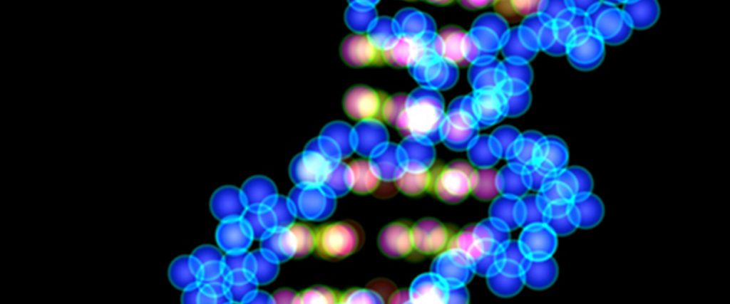 How Xenotransplantation Works | NewYork-Presbyterian