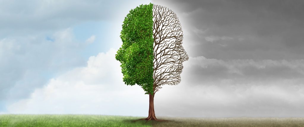 The difference between bipolar and borderline personality disorder