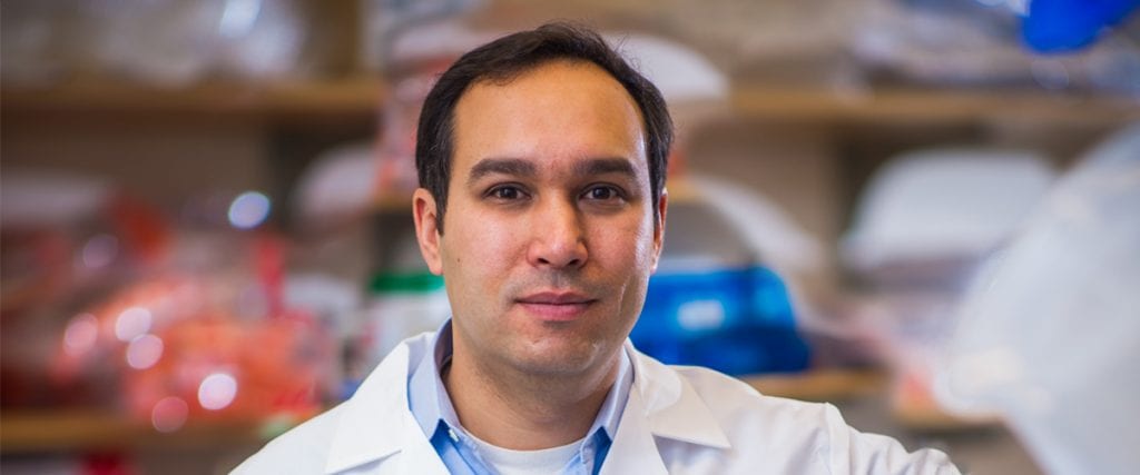 Dr. Adam Bass to Lead Precision Medicine at NewYork-Presbyterian and ...