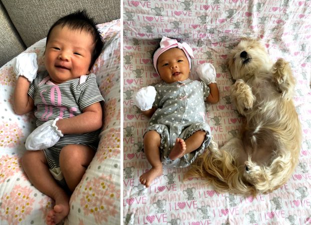 Celebrating New Life Amid the Pandemic - NewYork-Presbyterian