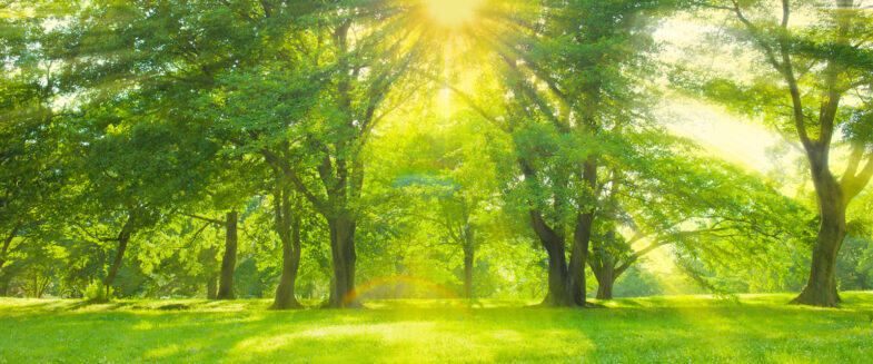 5 Health Benefits of Spending Time Outdoors