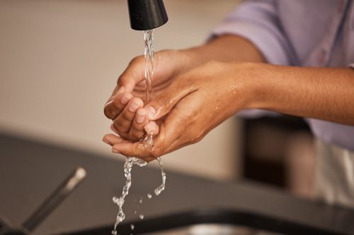 What Causes Food Poisoning? - Infectious Disease