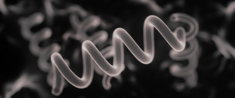 How to Test for Syphilis